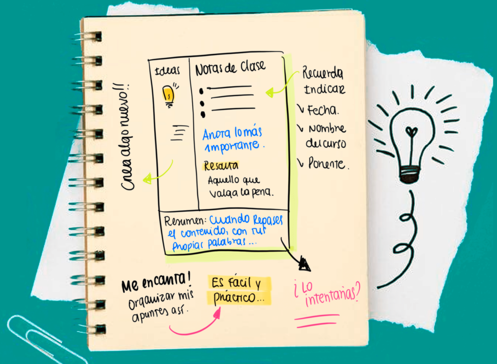 Domina la organización de tus ideas con un esquema efectivo para tus ...