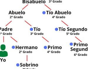 Explorando los vínculos familiares: Colaterales de segundo y tercer ...
